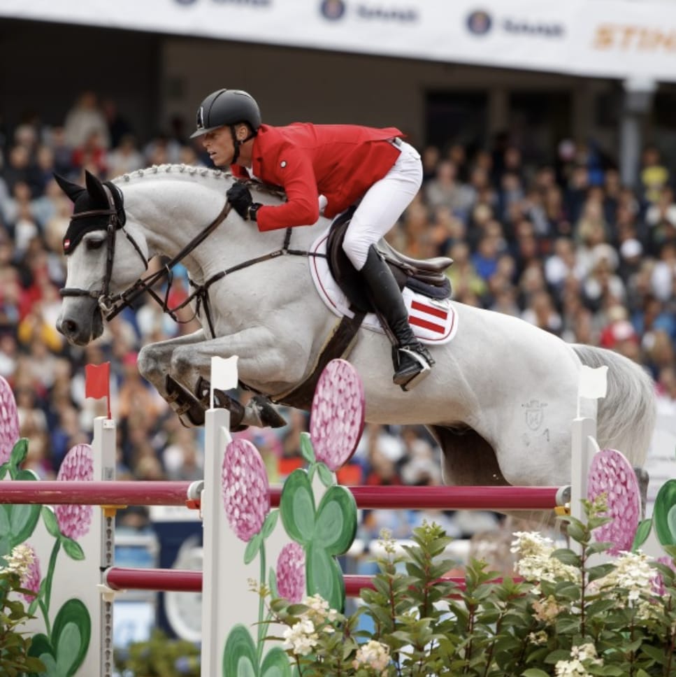 Elite Stallions - Stallions Discipline