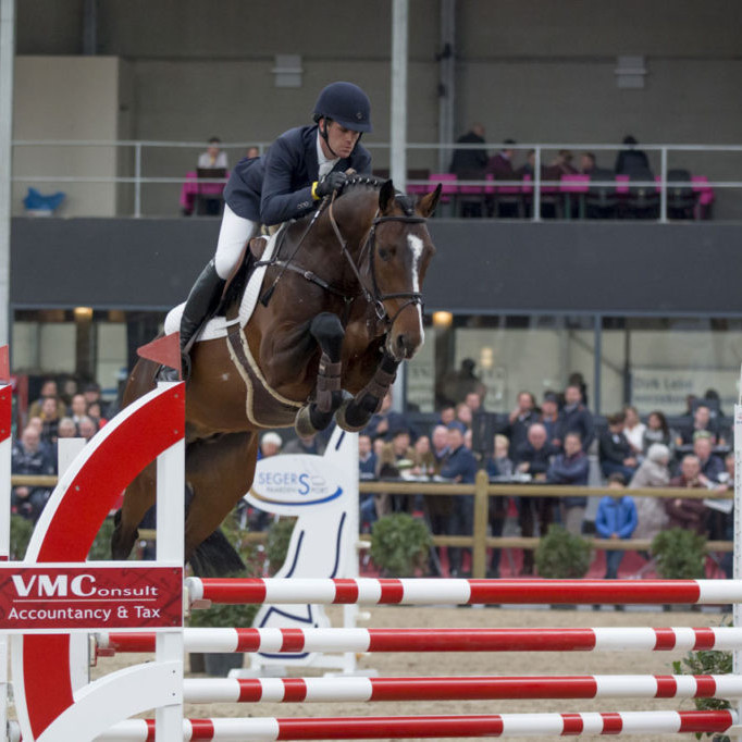 Elite Stallions - Stallions Discipline