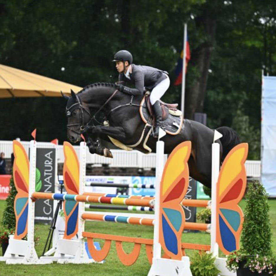 Elite Stallions - Stallions Discipline