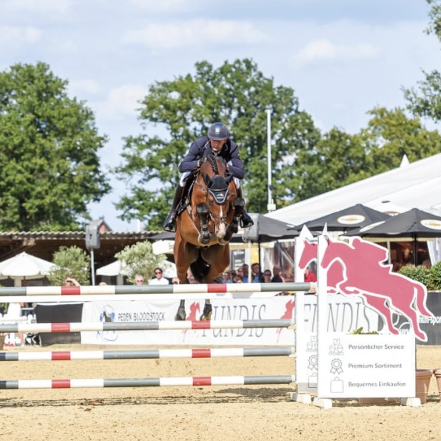 Elite Stallions - Stallion